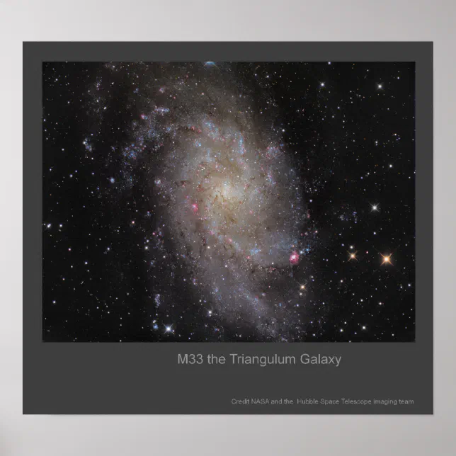 M33 The Triangulum Galaxy Poster | Zazzle