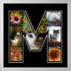 M Monogram Create Your Own 9 Photo Collage Black Poster | Zazzle