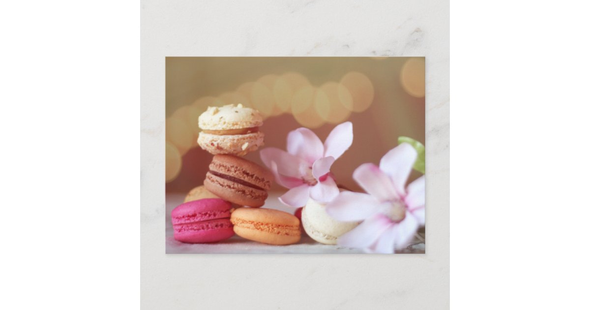 Macarons Postcard | Zazzle