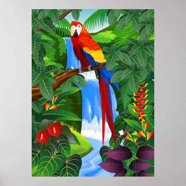 Macaw bird illustration poster | Zazzle