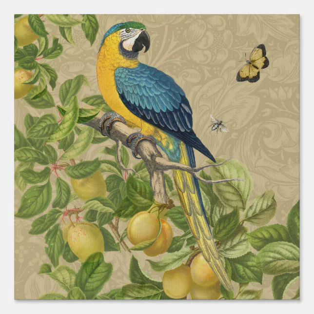 Macaw Blue Yellow Tropical Jungle Antique Sign | Zazzle