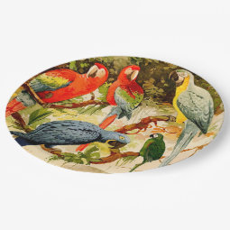 Macaw Parrot Birds Animals Wildlife Paper Plates | Zazzle