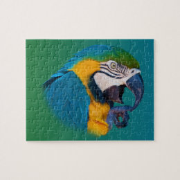 Green Parrot Jigsaw Puzzles | Zazzle