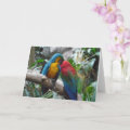 Macaw Parrots Bird Thank you, Note Card | Zazzle