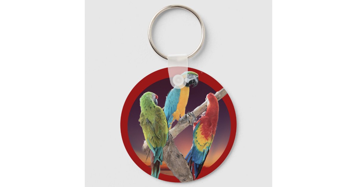Macaw Parrots Keychain | Zazzle