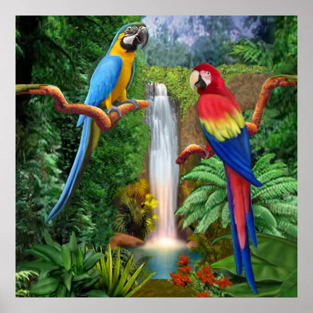 Macaw Tropical Parrots Poster | Zazzle