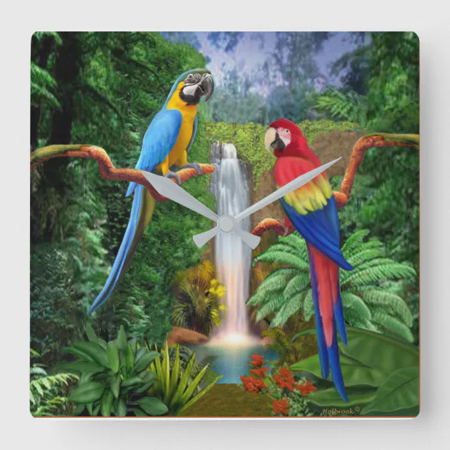 Macaw Tropical Parrots Square Wall Clock | Zazzle