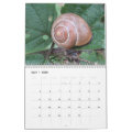 Macro Insects Calendar | Zazzle
