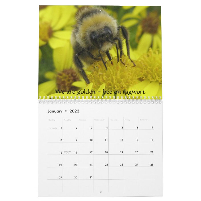Macro Insects Calendar | Zazzle.com
