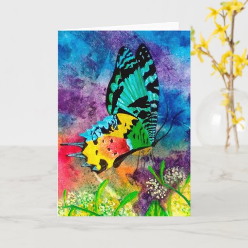 Madagascar Splash Profile Card | Zazzle