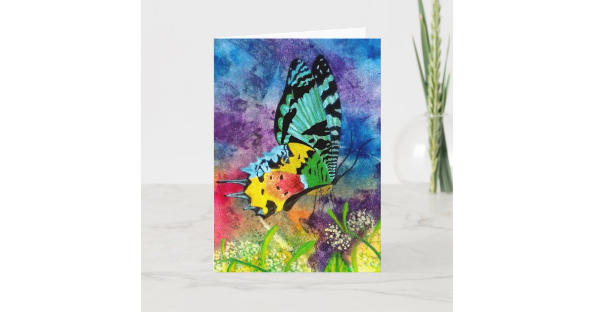 Madagascar Splash Profile Card | Zazzle