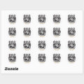 Madden Coat of Arms (Family Crest) Classic Round Sticker | Zazzle