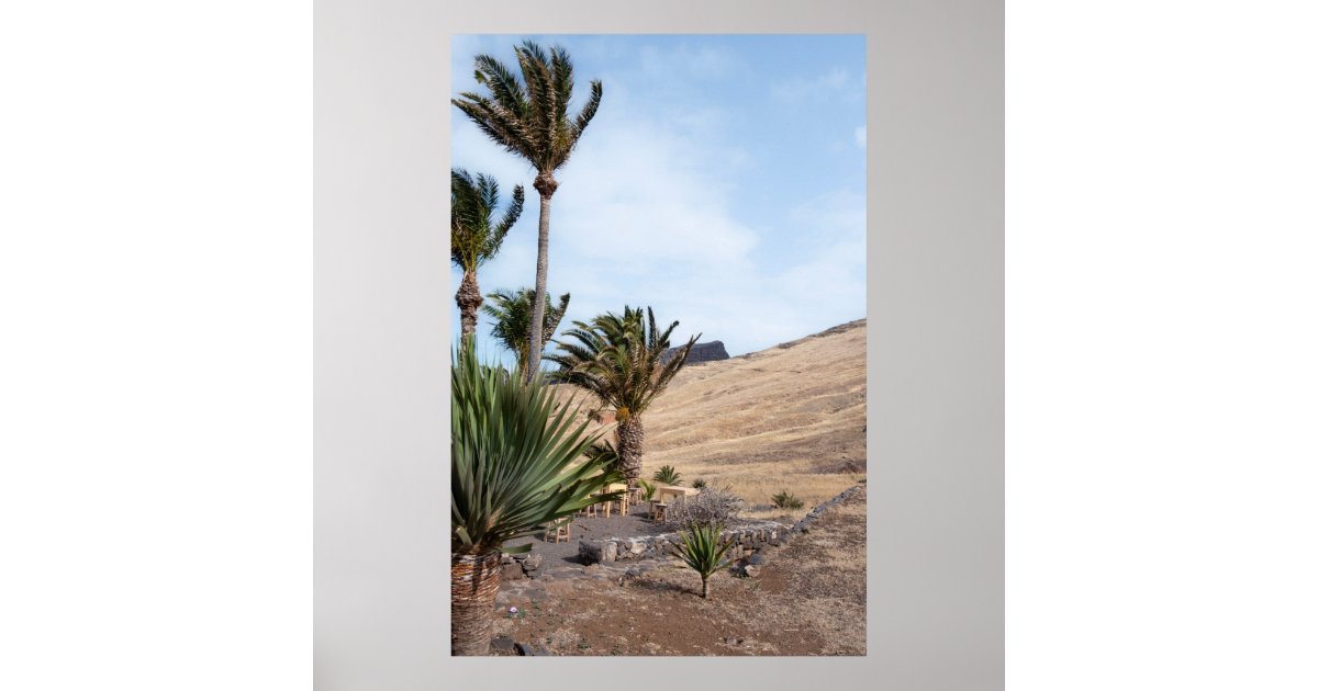 Madeira Wüste Wandern Palme Oase Fotografie Poster | Zazzle