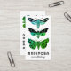 Magical MOTHS Esthetician Beauty Salon Green Business Card | Zazzle