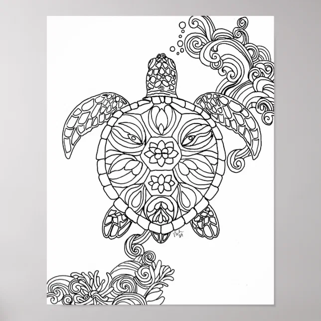 sea turtle coloring book
