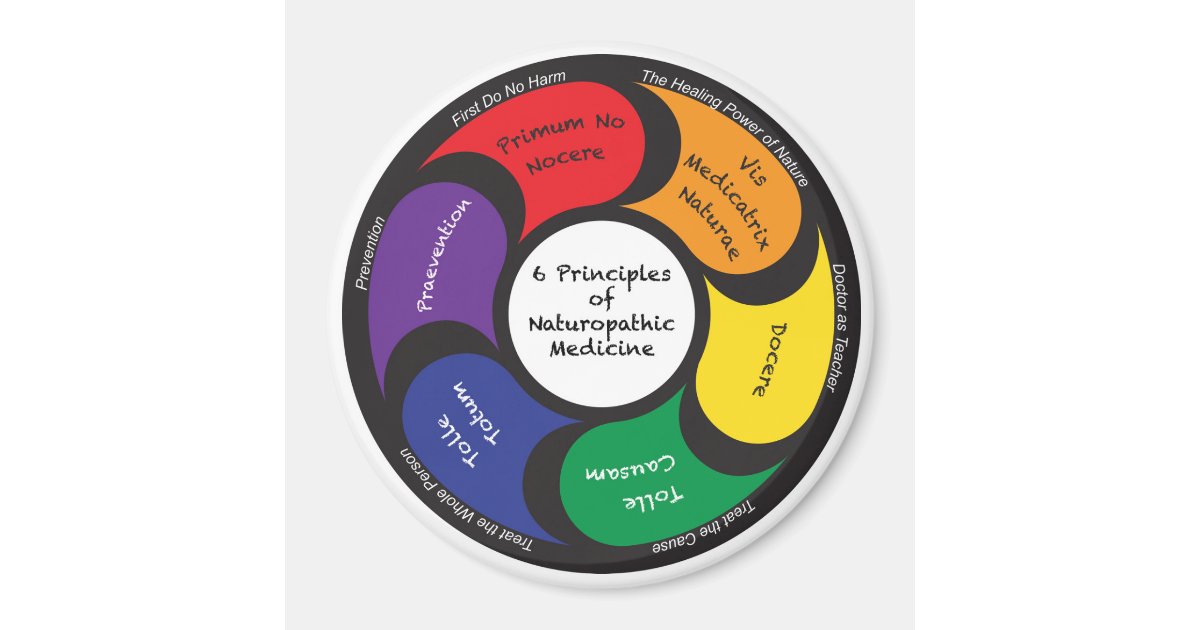 Magnet - 6 Principles of Naturopathic Medicine | Zazzle