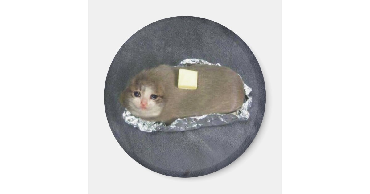 Magnet Butter Cat Meme | Zazzle
