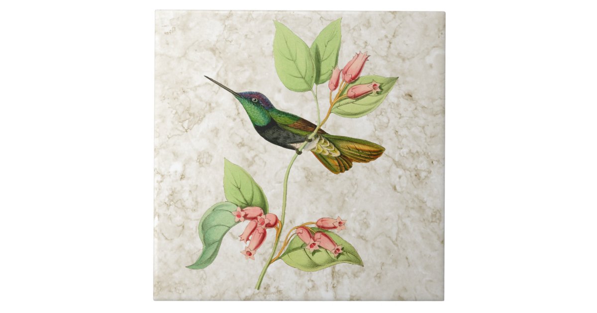 Magnificent Hummingbird Ceramic Tile | Zazzle