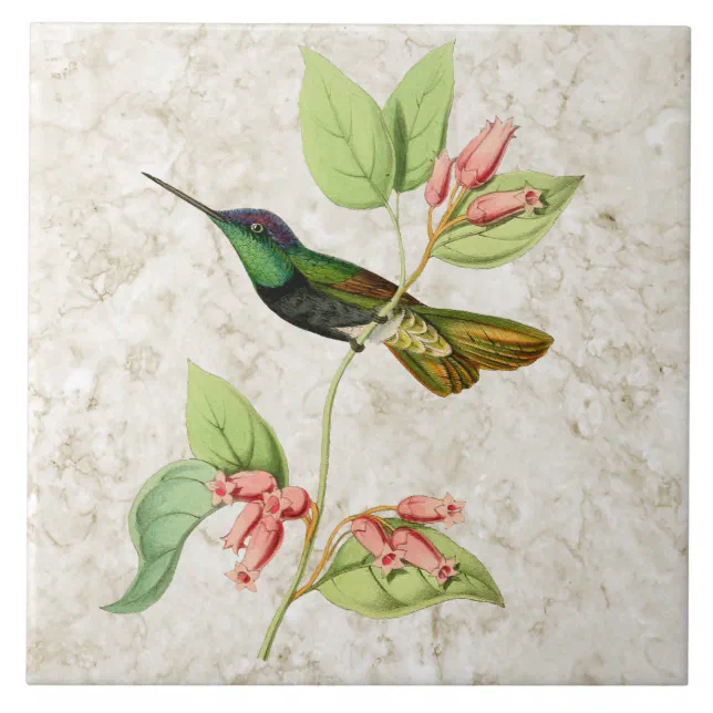 Magnificent Hummingbird Ceramic Tile | Zazzle