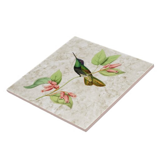Magnificent Hummingbird Ceramic Tile | Zazzle