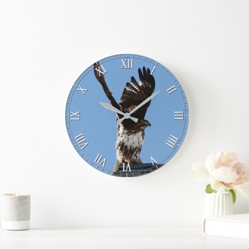 Magnificent Red-Tailed Hawk Raptor Bird of Prey Large Clock | Zazzle