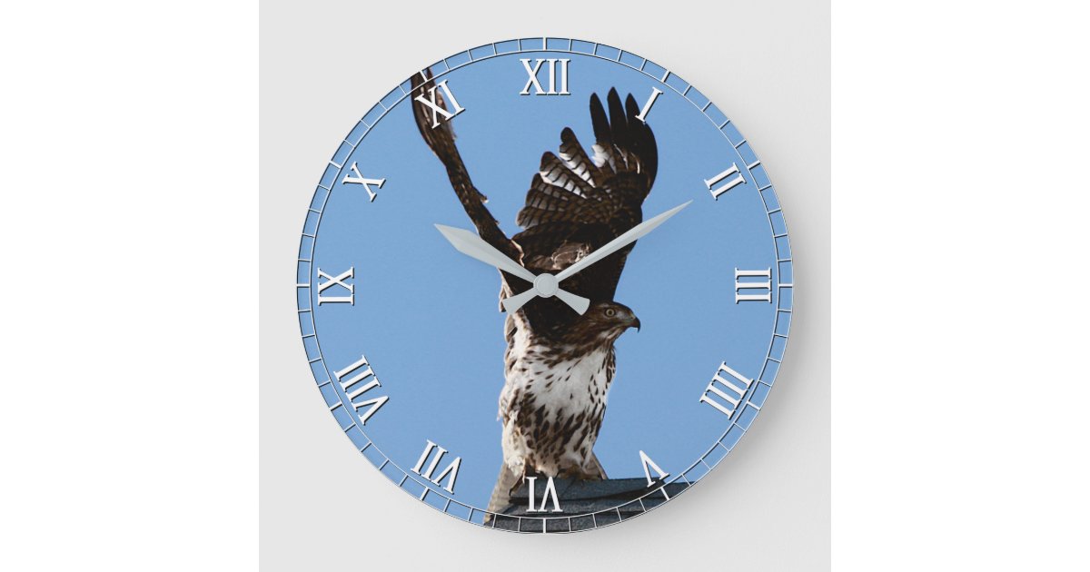 Magnificent Red-Tailed Hawk Raptor Bird of Prey Large Clock | Zazzle