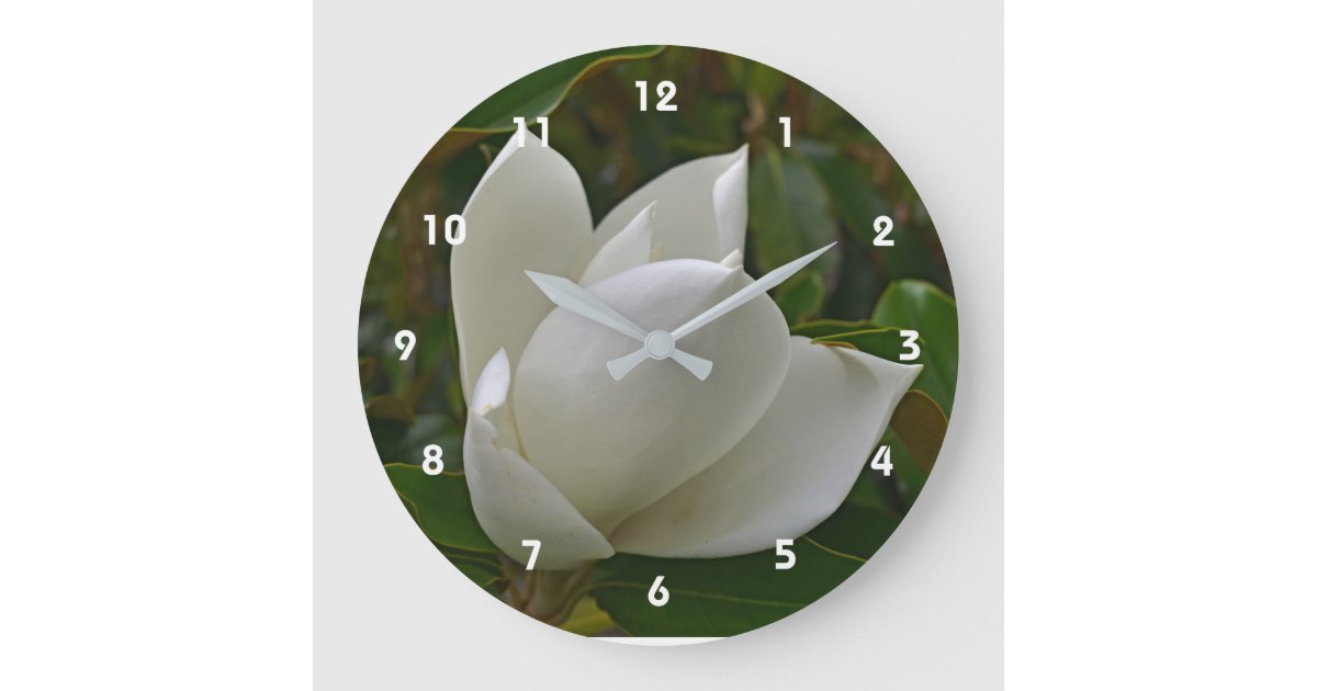 Magnolia Bloom Clocl Large Clock | Zazzle