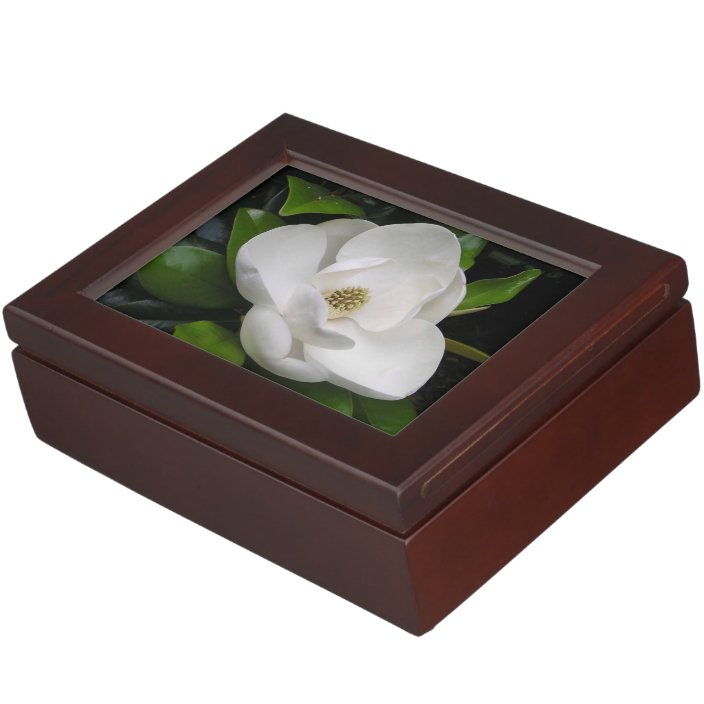 Magnolia Blossom Keepsake Box | Zazzle.com
