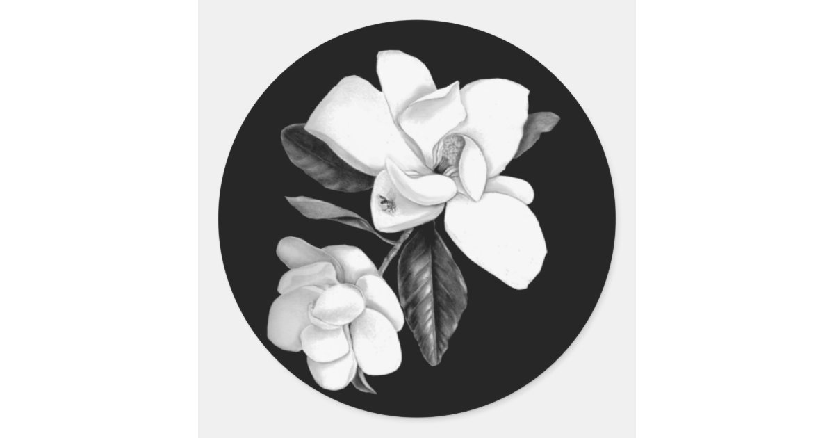 MAGNOLIA CLASSIC ROUND STICKER | Zazzle