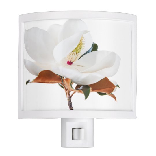 Magnolia Flower White Magnolias Floral Blossom Night Light | Zazzle.com