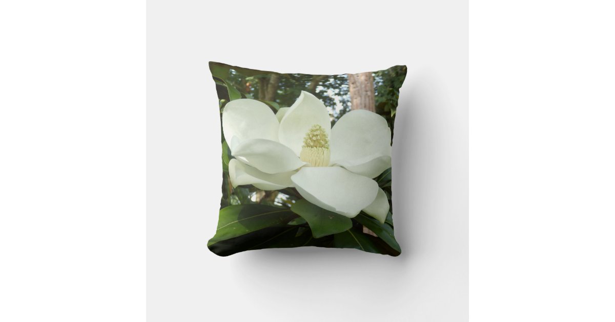 Magnolia Grandiflora Throw Cushion | Zazzle