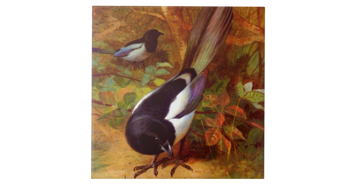 Magpies Ceramic Tile | Zazzle