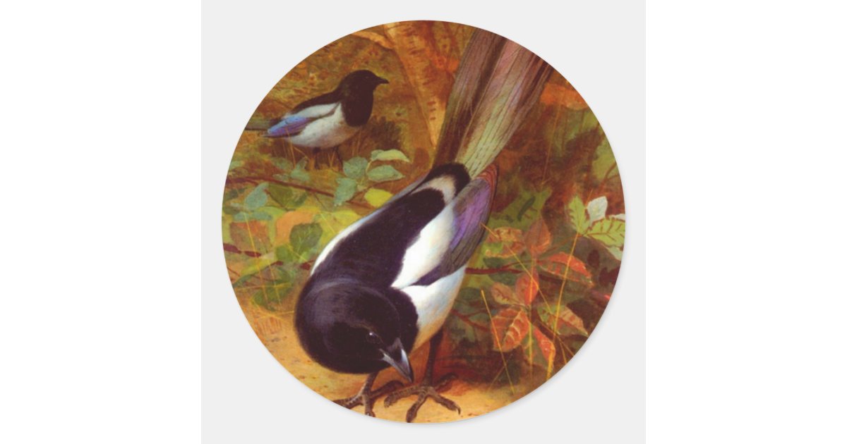 Magpies Classic Round Sticker | Zazzle