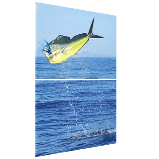 MAHI MAHI CANVAS PRINT | Zazzle