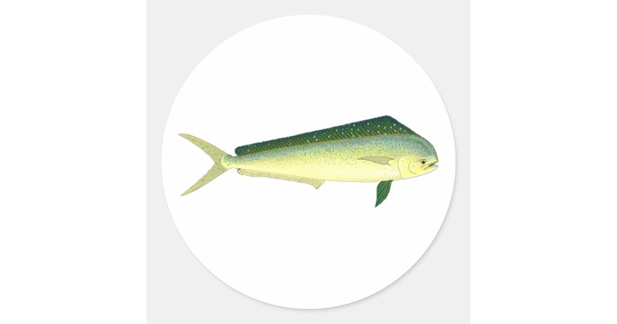 Mahi Mahi - Dolphin Fish Art Classic Round Sticker | Zazzle
