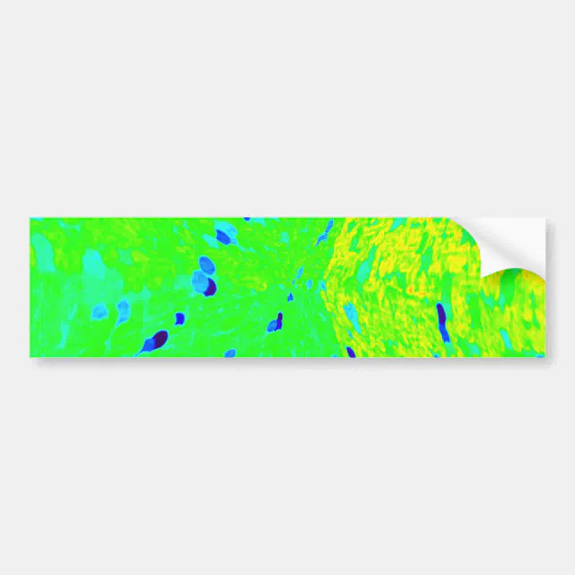 Mahi Mahi Dolphin Fish Art Colors Bumper Sticker | Zazzle