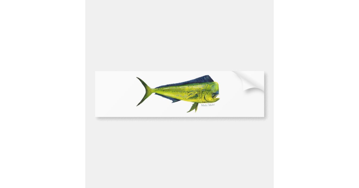 Mahi Mahi fish bumper sticker | Zazzle