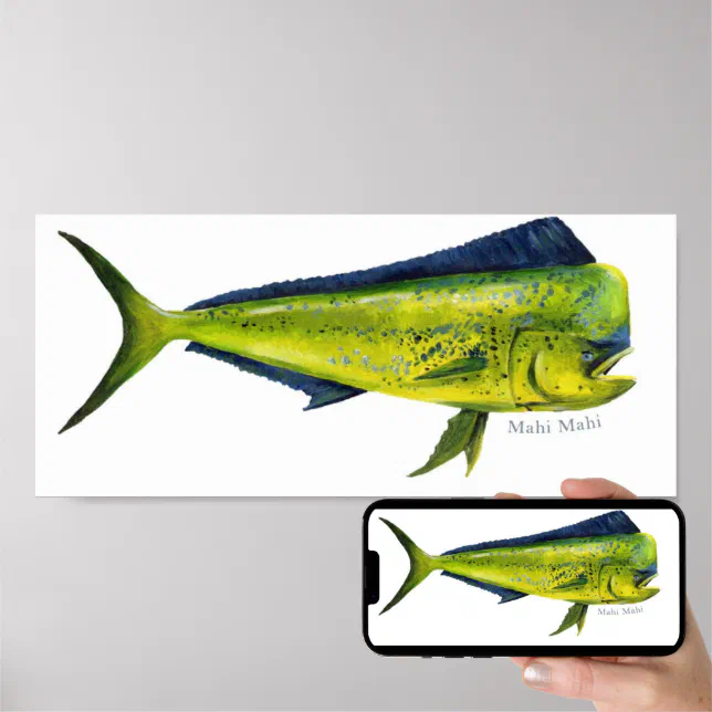 Mahi-Mahi fish poster | Zazzle