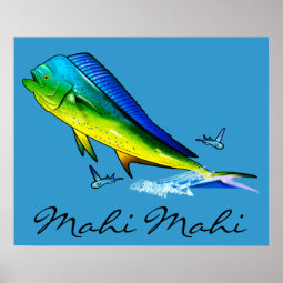 Mahi Mahi Poster | Zazzle