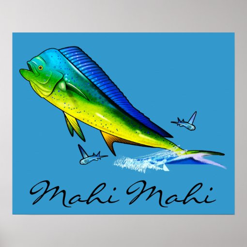 Mahi Mahi Poster | Zazzle