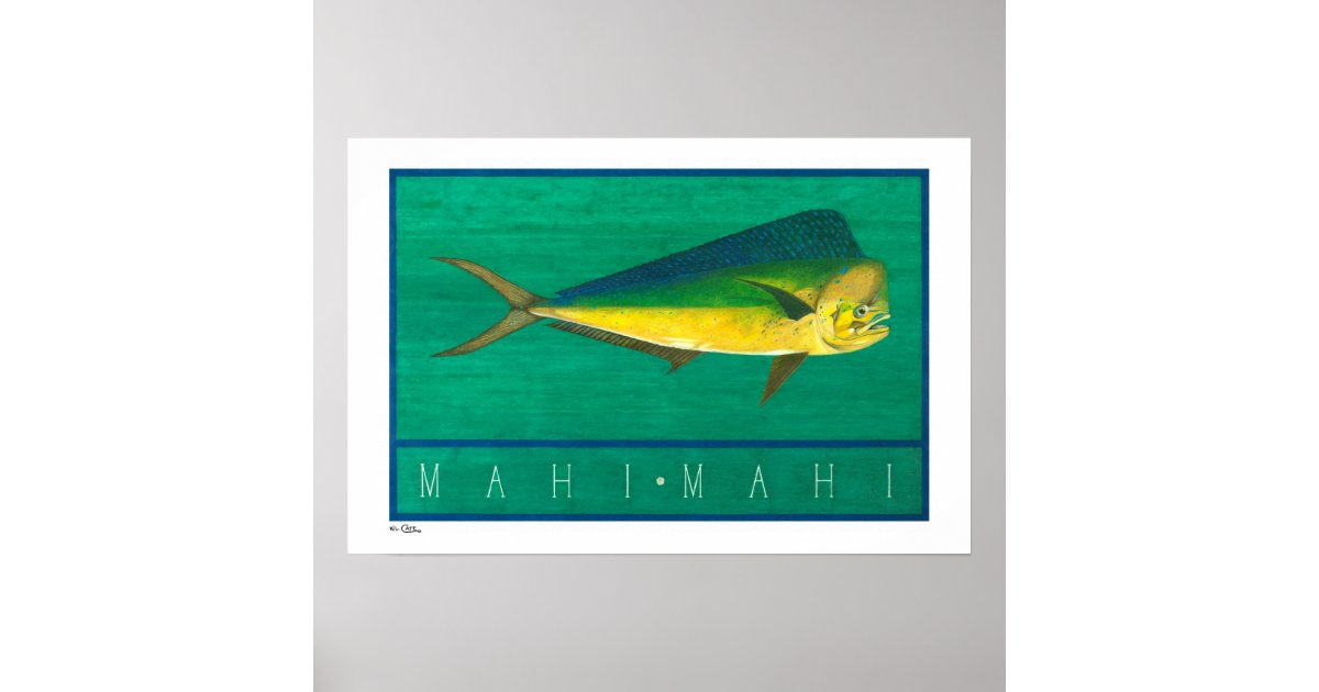 Mahi-Mahi Posters, Prints and Frames | Zazzle