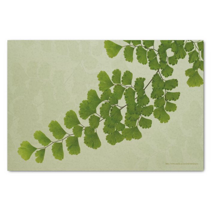 Maiden Hair Fern Frond Tissue Paper | Zazzle.com