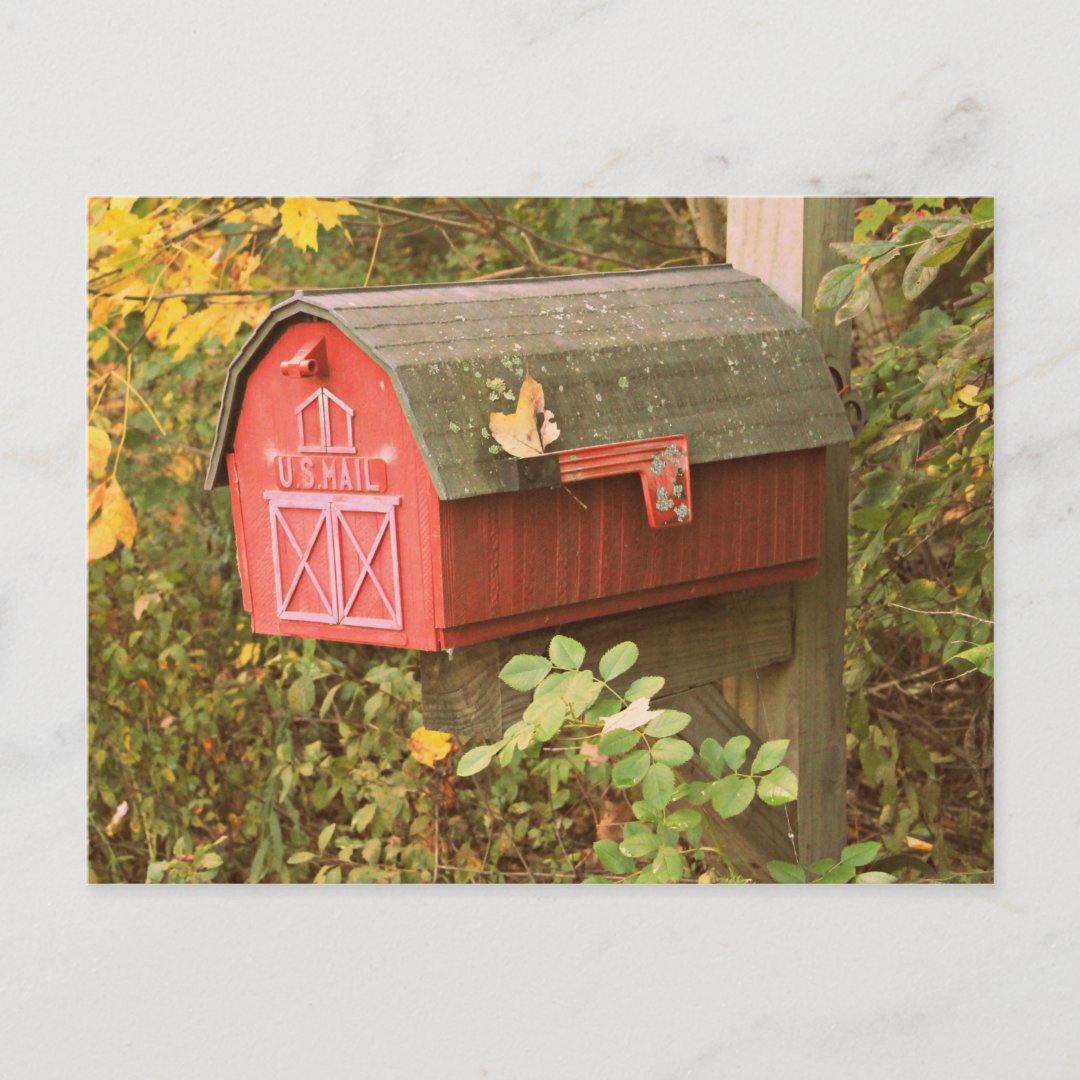 Mailbox Postcard | Zazzle