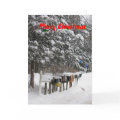 Mailman Christmas Card | Zazzle