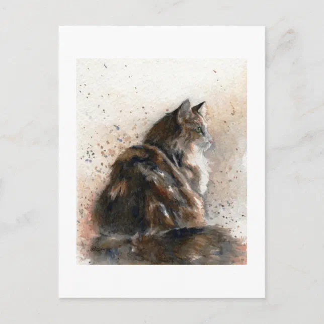 Maine Coon Cat Postcard | Zazzle
