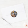 Maine Coon Cats Fluffy Cat Lover Gift Classic Round Sticker | Zazzle