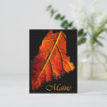 Maine Fall Photo Foliage | Maine Autumn Foliage Postcard | Zazzle