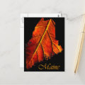 Maine Fall Photo Foliage | Maine Autumn Foliage Postcard | Zazzle