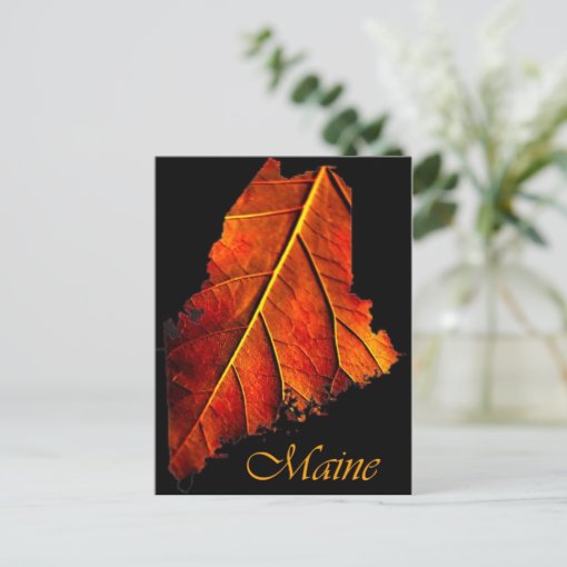 Maine Fall Photo Foliage | Maine Autumn Foliage Postcard | Zazzle