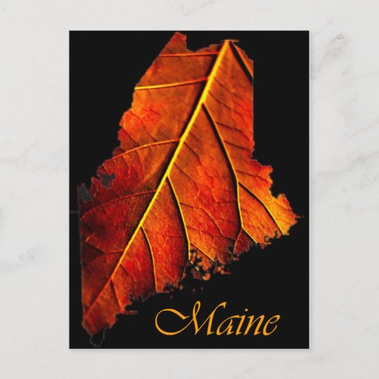 Maine Fall Photo Foliage | Maine Autumn Foliage Postcard | Zazzle.com